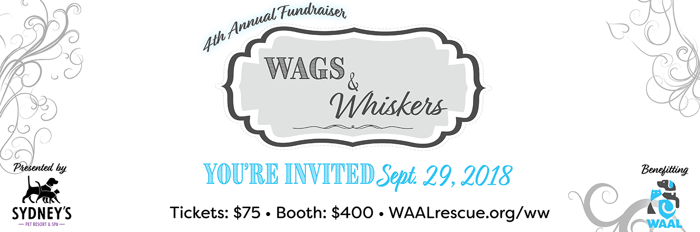 Wichita Animal Action League | Wichita Animal Rescue | Wichita, KS